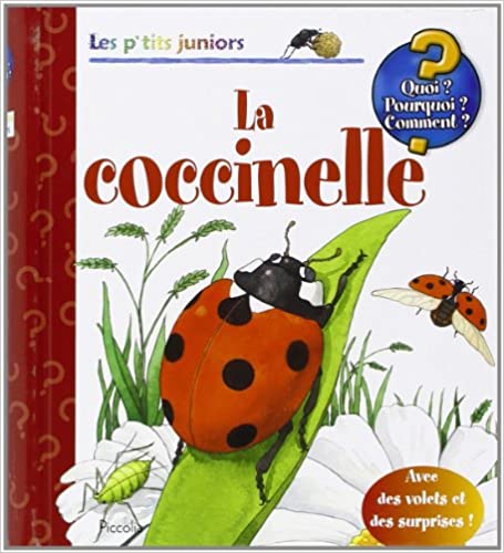 La coccinelle, les p'tits juniors - Teteenlire