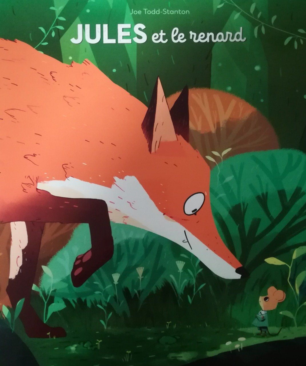 Jules et le renard - Teteenlire